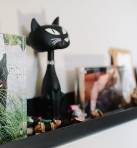 Homepage - Bionic Cat